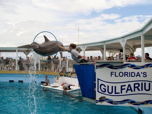 Gulfarium Marine Adventure Park - Destin Florida AttractionsDestin ...